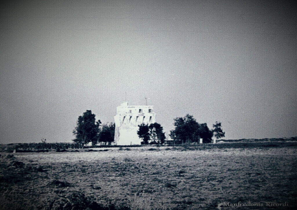 Si sentì una voce nell'aria, era il 1937 a 'Torre di Ricoli ...