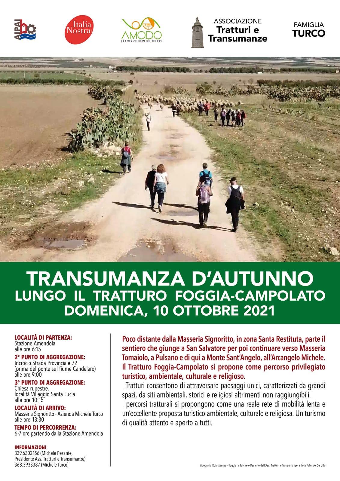 Una transumanza per valorizzare il percorso tra i Monti Dauni e Vieste ...
