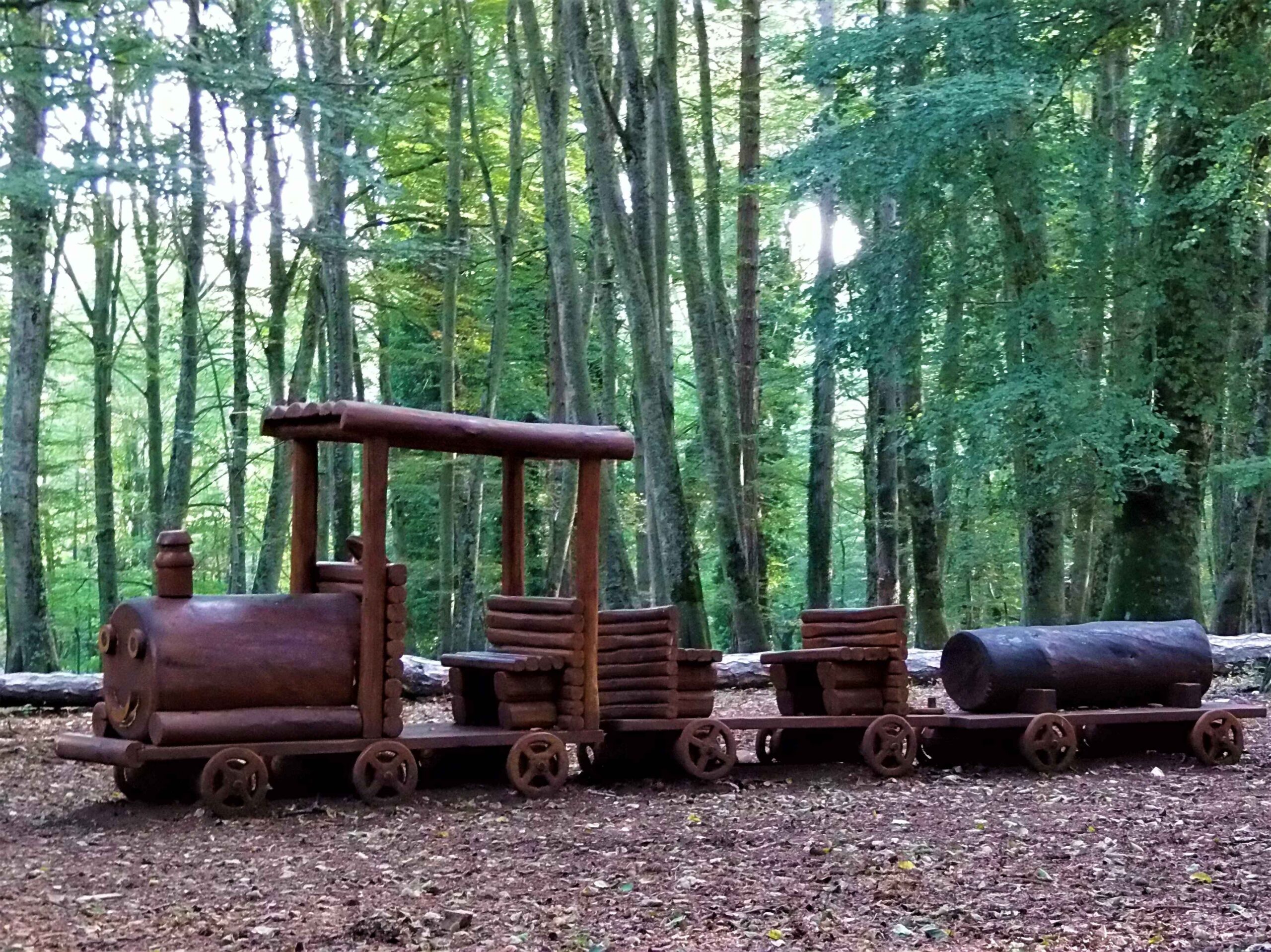 Gargano: “L’arco ferroviario scocca per l’amore del territorio e delle ...