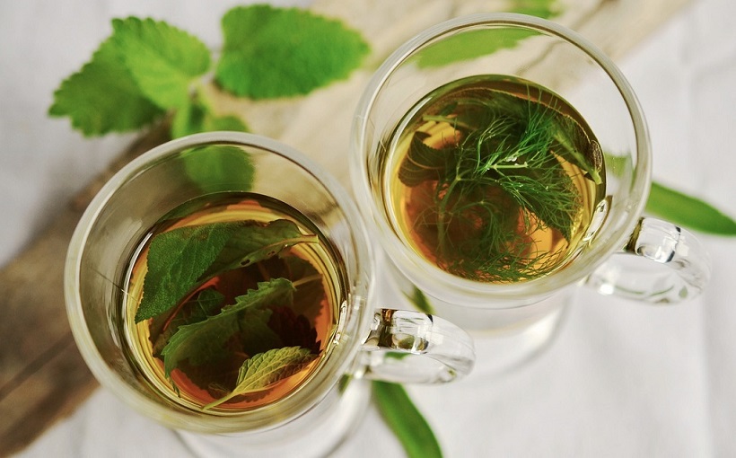 Erbe officinali: cosa sono e come possono essere usate - IlSipontino.net