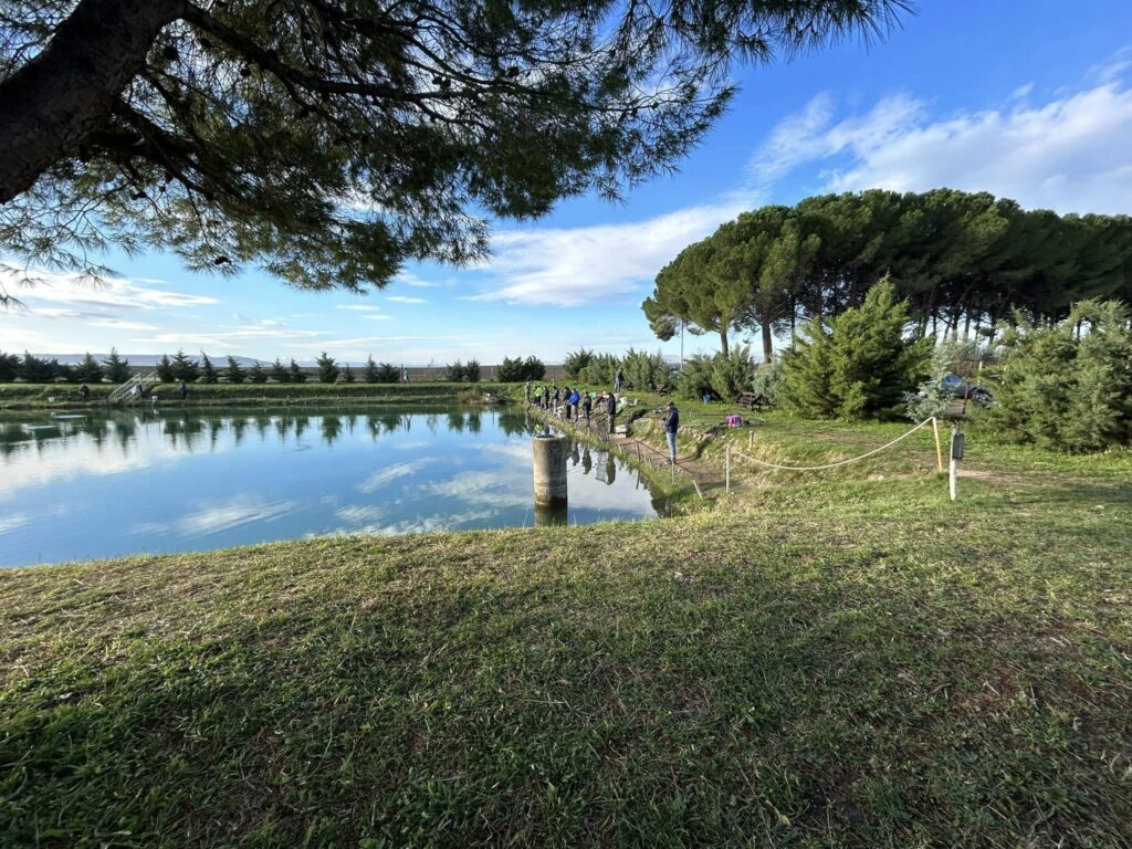 Lago Luigi Bellofatto: nel cuore della natura il ritrovo prediletto dei ...