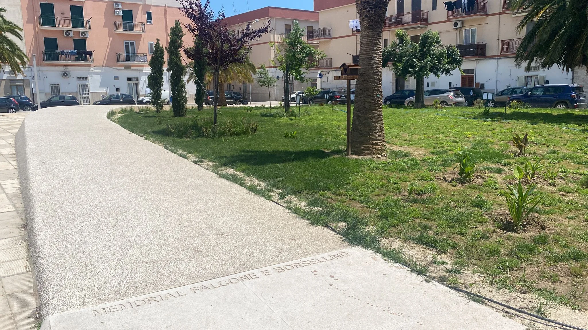 Il 2 giugno a Manfredonia la piantumazione dell'albero di Falcone ...