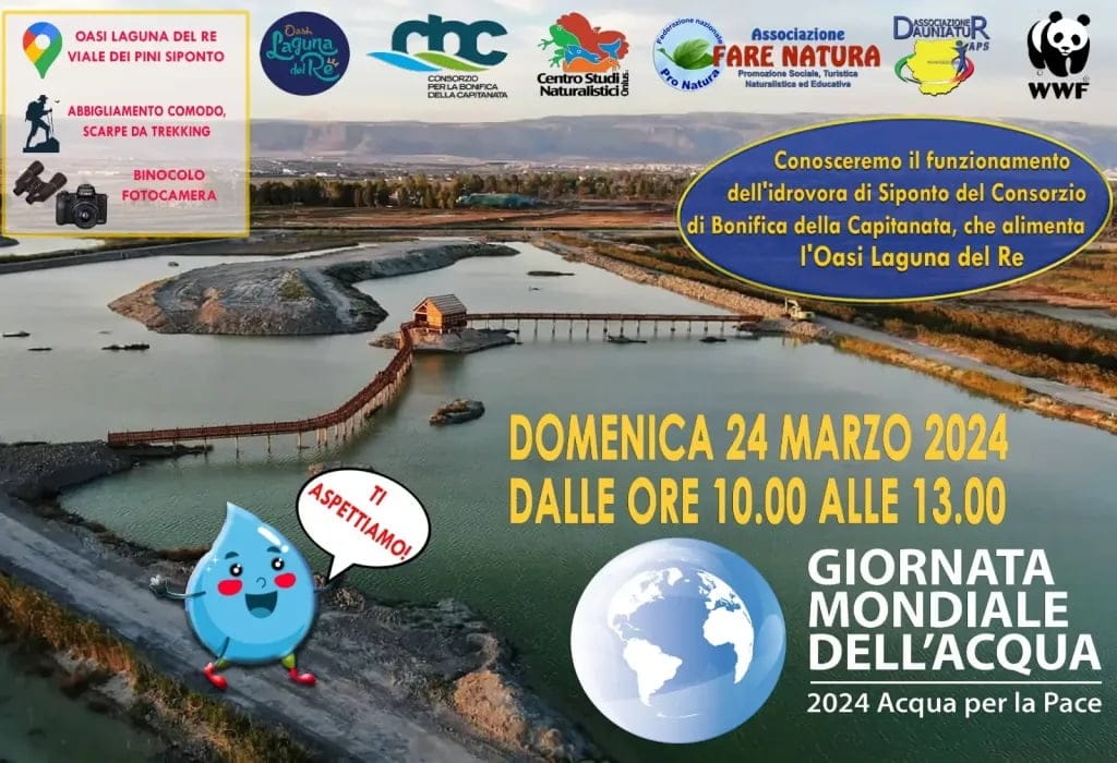 Giornata Mondiale dell’Acqua 2024 all’Oasi Laguna del Re - IlSipontino.net Giornata Mondiale dell’Acqua 2024 all’Oasi Laguna del Re - IlSipontino.net